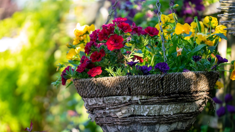 Gardening - Tingley Garden Centre